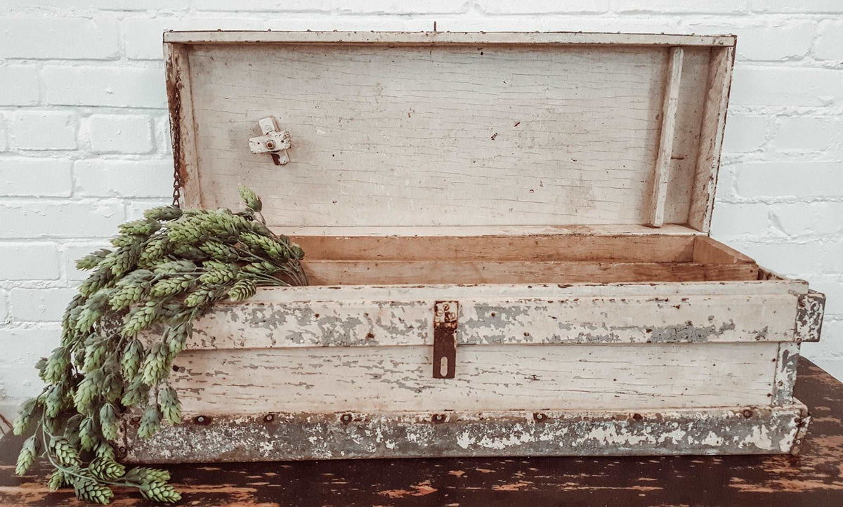 Early Antique White Trunk/Chest Vintage Character